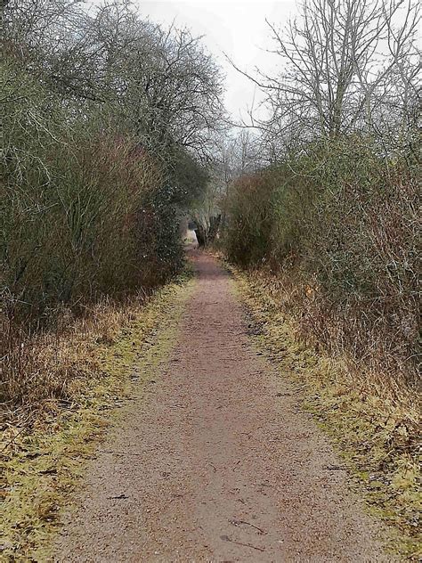 Las Mejores Rutas De Senderismo En Am Vogelgesang Outdooractive