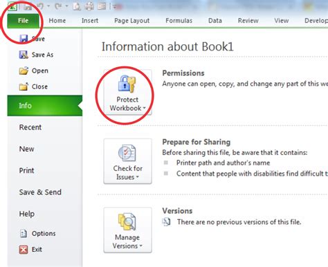Cara Membuat Password Excel 2010