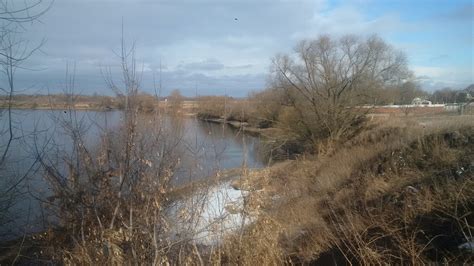Frozen Fossils Part Ii Fossil Hunting Trips The Fossil Forum