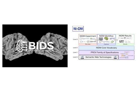 Bids And The Neuroimaging Data Model Nidm Incf