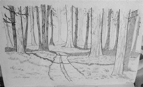 Forest Drawing Tutorial Learn How To Draw A Beautiful Forest
