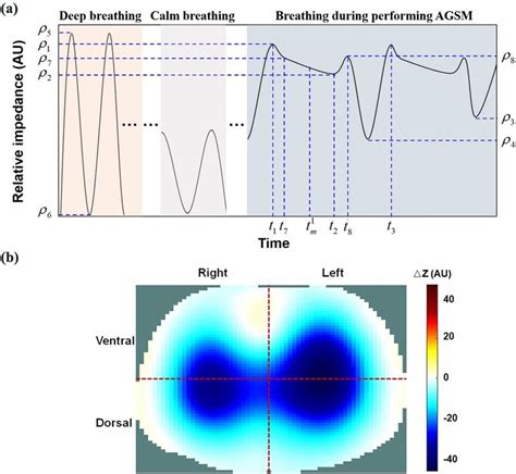Eit Image Analysis A Schematic Diagram Of Lung Ventilation From Eit Download Scientific