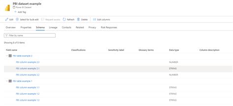 Purview New Type Definition Custimozed Schema Like Powerbi Dataset Microsoft Qanda