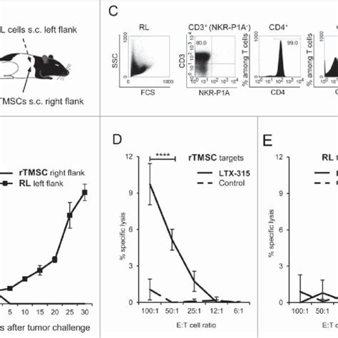 Anti Tumor Immune Responses Induced By Ltx 315 Are Tumor Specific A Download Scientific