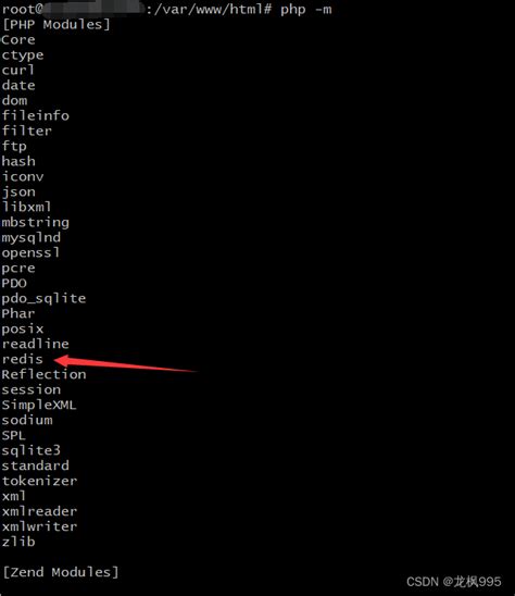Docker Php安装redis扩展 Csdn博客