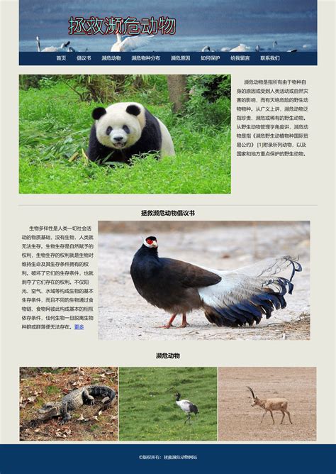 Html期末学生大作业 拯救宠物网页作业html Css Csdn博客