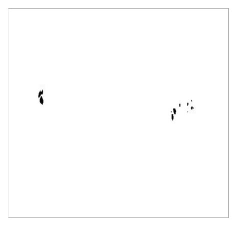 image 6 segmentation results a original image b grayscale image