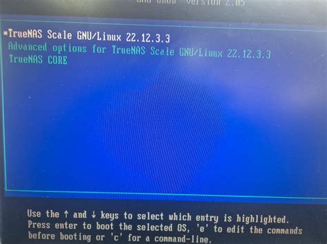 Truenas Stuck On Gnu Screen Wont Boot Truenas General Truenas