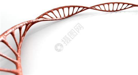 麦醇溶蛋白分子的3d插图面筋的这种成分是小麦和其他谷物中的一种蛋白质它是与乳糜泻相图片素材 正版创意图片503026035 摄图网