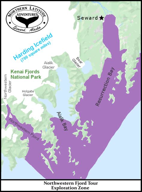 Which Kenai Fjords Tour Is Best Seward Whale Watching And Glacier Tours