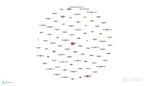 如何用vosviewer分析cnki关键词共现？ Csdn博客