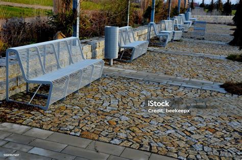 식물을 등반하기위한 회색 금속 프레임으로 만든 아치형 퍼 골라 벤치와 투명 와이어 가구의 의자 마른 정원 벽과 키 큰 장식용 잔디 모래 길 햇빛 일몰 다년생 0명에 대한