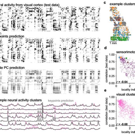 The Deep Keypoint Model Predicts Fine Features Of Neural Activity A Download Scientific