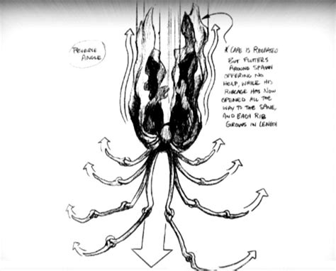 Daily Spawn Archive On Twitter Unused Spawns Wings Transformation