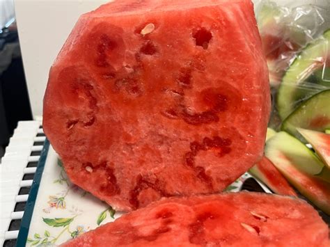 수박 무늬 지식in