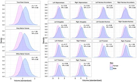 Information Processing Sex Differences In The Adult Human Brain UK Biobank Data