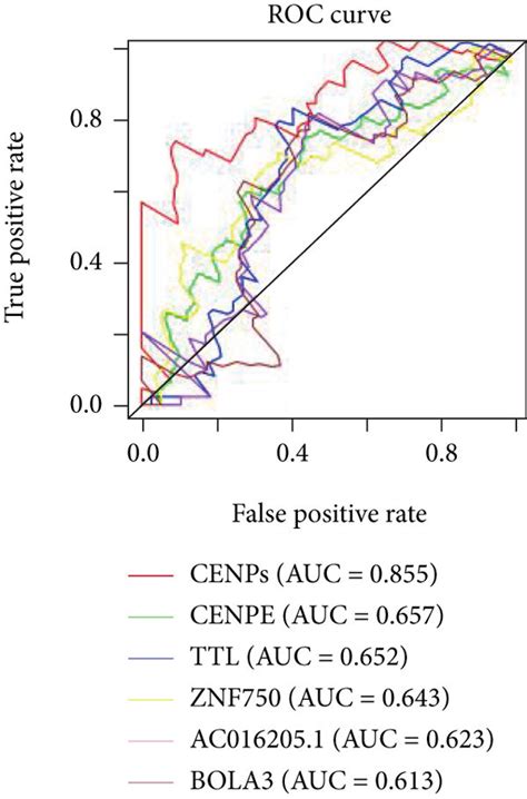 Forecast Models To Forecast The Prognosis Of Escc Patients A Download Scientific Diagram