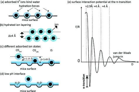 Schematic Illustration Of Different Ion Hydration Structures Discussed
