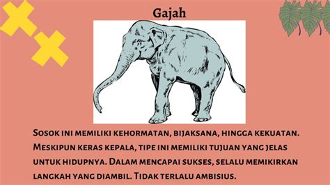 Hewan Yang Pertama Kali Terlihat Bisa Menggambarkan Kepribadianmu