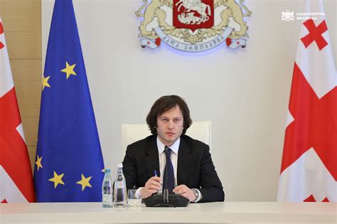 საქართველოს პრემიერ მინისტრი ირაკლი საქართველოს მთავრობა