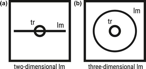 Schematic Representation Of A Relation Of Coincidence Between A
