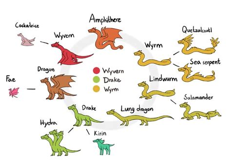 Dragons Drakes Wyrms Etc Graph Dragon Drawing Types Of Dragons Magical Creatures