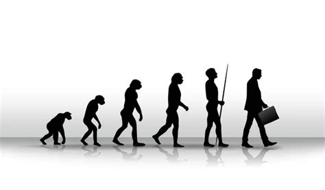 Evolution Stock Photos Royalty Free Evolution Images Depositphotos