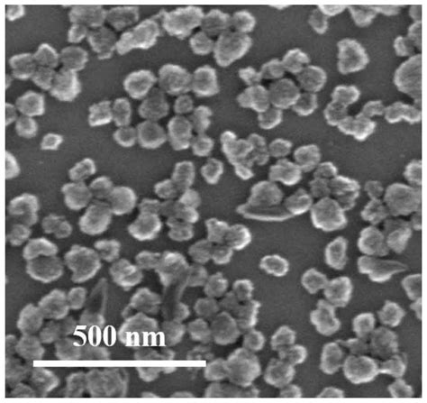 Preparation Method And Application Of Cobalt Doped Metal Organic Framework Nanoparticles