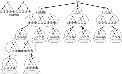 Enumeration Tree Example Each Node In The Tree Represents An