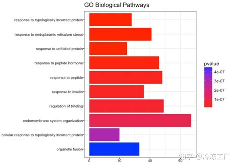Rna Seq 保姆教程：差异表达分析（二） 知乎