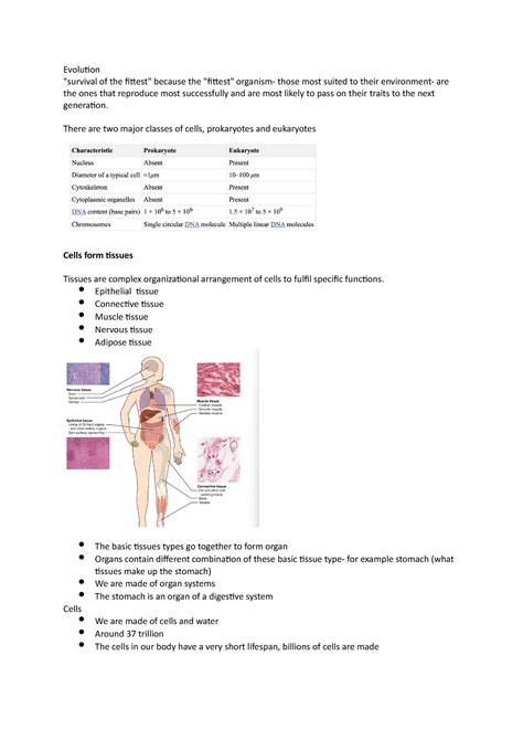 Evolution Lecture Notes Evolution Survival Of The Fittest Because