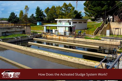 Activated Sludge Vs Extended Aeration Nsw Septic Experts