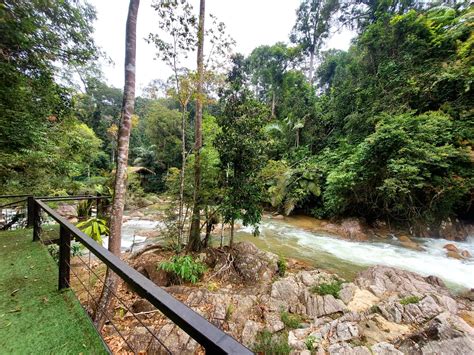 Resort Ulu Dong Raub Ejen Hartanah Property Agent Perunding