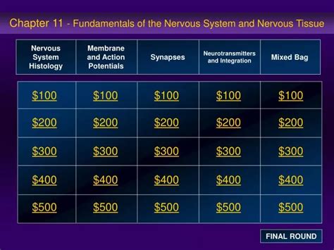 PPT Chapter Fundamentals Of The Nervous System And Nervous Tissue PowerPoint Presentation
