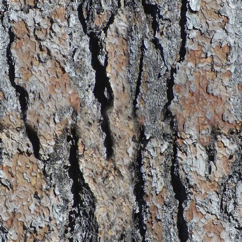 36 Free Ground Textures Diffuse And Normals Tree01diffuse