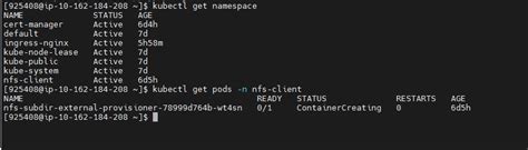 mountvolume setup failed for volume pv nfs subdir external provisioner mount failed exit