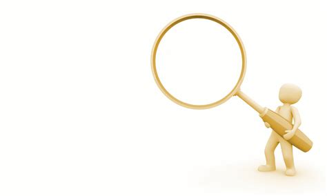 About Stem Detective Lab