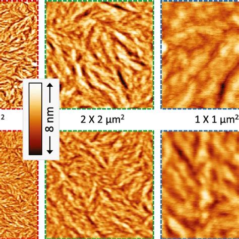 Typical Afm Images In Four Different Scan Sizes And Corresponding Psd Download Scientific