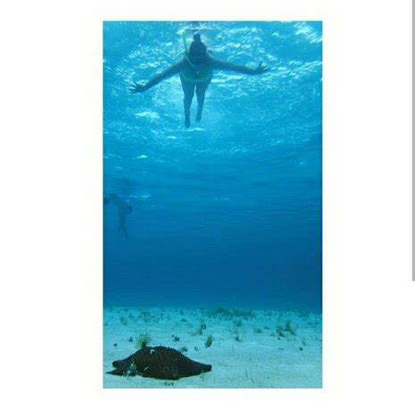 Playa El Cielo Cozumel 2019 Lo Que Se Debe Saber Antes De Viajar