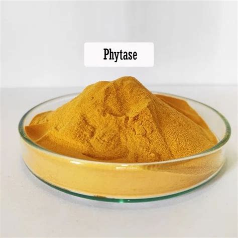 Phytase Enzyme Powder Loose At Rs 1500kg In Tiruchirappalli Id 2854644575812