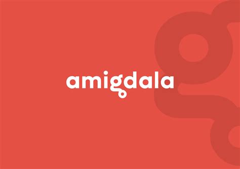 Amigdala Agency About Us