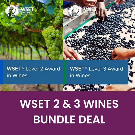 Wset Level 2 And 3 Wines Classroom Course Bundle Manchester Northern Wine School