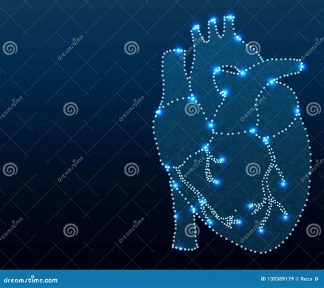 Human Heart Polygon Blue New 1 3 Stock Vector Illustration Of Natural Aorta 139389179