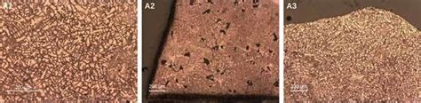 Optical Microscopy Image Showing The Dendritic Micro Structure Of The