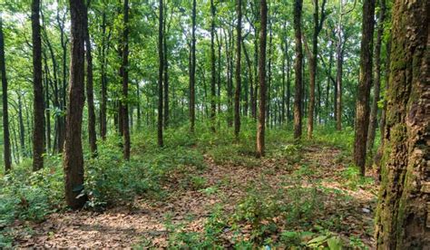 Important Assam Geography Mcq 100 Mcqs Gkfunda