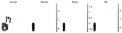 Problem With Paga Graph Plotting Scanpy Scverse