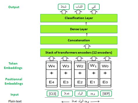 Bert Based Models For Awsd Download Scientific Diagram