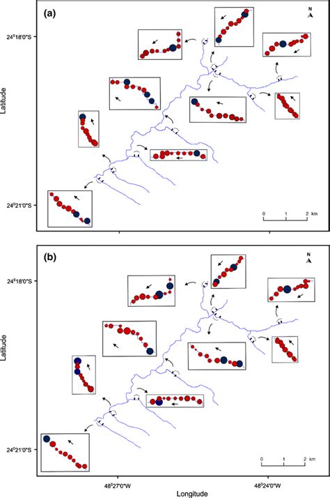 Simplified Map Of The Carmo River Basin Showing Compositional Download Scientific Diagram