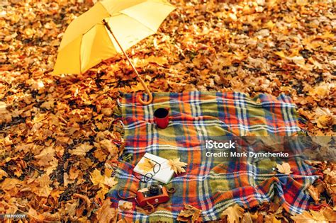 프린지와 단풍 책 안경 카메라 다리 가을 의 자연을 배경으로 우산이 있는 체크 무늬의 빨간색과 노란색 격자 무늬 0명에 대한 스톡 사진 및 기타 이미지 Istock