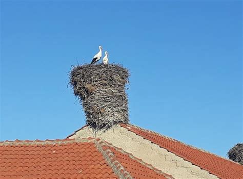 Македонски географски знаменитости Поглед кон Огражден од Беласица Огражден е планина која